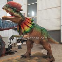 China High Fidelity Silicone & Sponge Dilophosaurus Animatronic Outdoor for sale