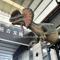 China Lifelike Dilophosaurus Head Animatronic Dinosaur Triceratops Animatronic for sale