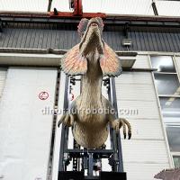 China Lifelike Dilophosaurus Head Animatronic Dinosaur Triceratops Animatronic for sale