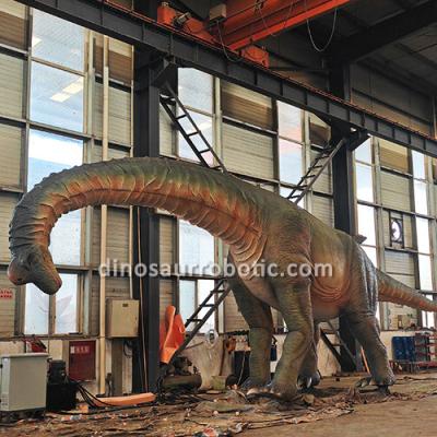 China Waterproof Brachiosaurus Animatronic Silicone Walking With Dinosaurs Animatronics for sale