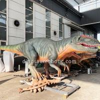 China Outdoor Animatronic Allosaurus Animatronic Dinosaur High Fidelity Silicone for sale