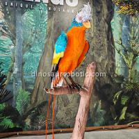 China Animal Animatronic Confuciusornis Lifelike Slow Eye Blinking for sale