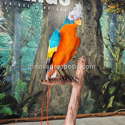 China Animal Animatronic Confuciusornis Lifelike Slow Eye Blinking for sale