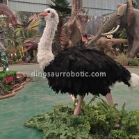 China Customizable Animatronic Ostrich Lifelike Appearance Flexible Movements for sale