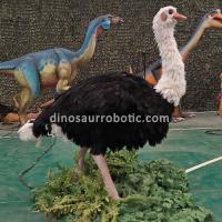 China Customizable Animatronic Ostrich Lifelike Appearance Flexible Movements for sale