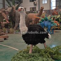 China Customizable Animatronic Ostrich Lifelike Appearance Flexible Movements for sale