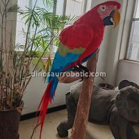 China Ultra Realistic Animatronic Animals Exhibitions Animatronic Parrot for sale