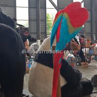 China Safety Parrot Animatronic Animal Life Size With CE ISO Approval for sale