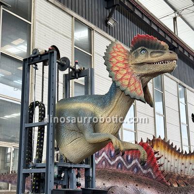 China Lifelike Dilophosaurus Head Animatronic Dinosaur Triceratops Animatronic for sale