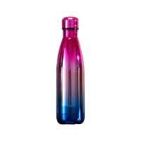 China UV Coated Self Cleaning Color Changing Stainless Steel Insulated Thermos Bottle OEM ODM for sale