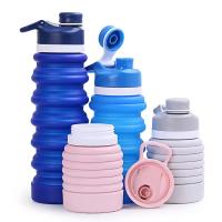 China 750ml Collapsible Silicone Foldable Water Bottle BPA Free for sale