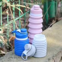 China 750ml Collapsible Silicone Foldable Water Bottle BPA Free for sale