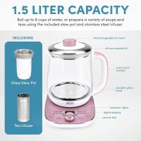 China 1.7L Glass Electric Kettle With Tea Infuser Quick Heating Filtered Spout for sale