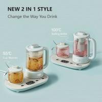 China 300ml & 600ml Glass Tea Pot Infuser Kettle With Infuser Heating Boiling for sale