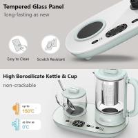 China 300ml & 600ml Glass Tea Pot Infuser Kettle With Infuser Heating Boiling for sale