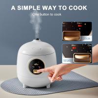 China Compact and Portable Mini Rice Cooker with Comfortable Handle and Removable Power Cord for sale
