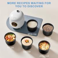 China Compact and Portable Mini Rice Cooker with Comfortable Handle and Removable Power Cord for sale
