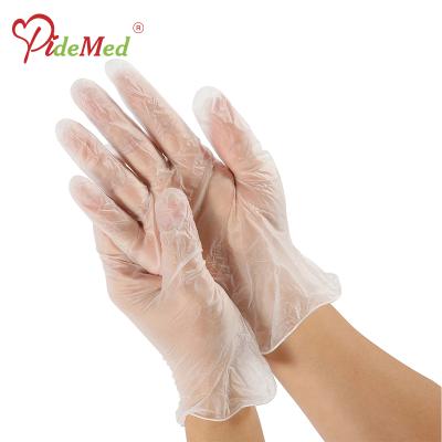China Powderless Vinyl Examination Gloves Powder Free Medical Grade EN 455 Gloves for sale