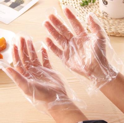 China One Size Fits Most Disposable Gloves Polyethylene Disposable Restaurant Gloves Clear for sale