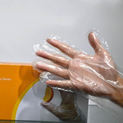 China Lightweight Clear Polyethylene Gloves Non Sterile Disposable HDPE Gloves for sale