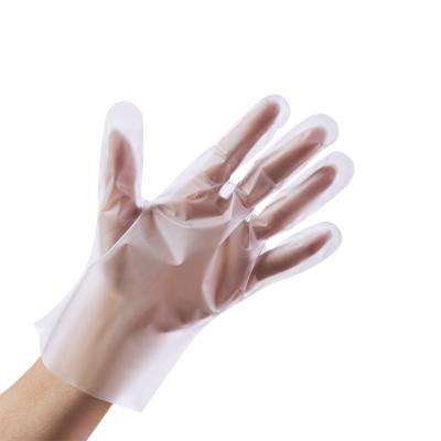 China Industrial Disposable TPE Gloves Transparent One Size Fits All Disposable Gloves For Beauty Salon for sale