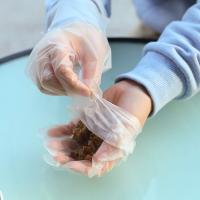 China Eco Friendly Thermoplastic Elastomer Gloves Disposable Gloves For Food Handling for sale