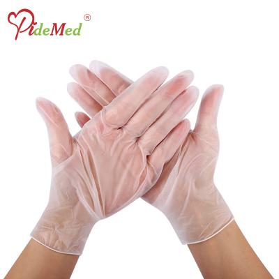 China 24cm Blue Vinyl Gloves PVC Clear Food Service Gloves Of Comfortable Fit for sale