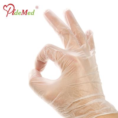 China Beaded Cuff Powdered Vinyl Gloves Lightweight Vinyl Gloves For Food Service for sale