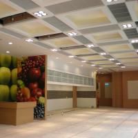 China Industrial Metal Ceiling Air Diffuser Aluminum Strip Corrosion Resistant Four Way for sale