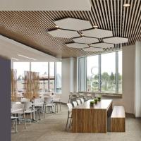 China Transfer Printing Honeycomb False Ceiling Design Random Modelling for sale