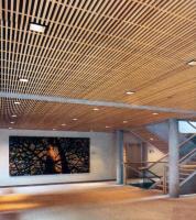 China Aluminum U Baffle Metal Ceiling Tiles Building Decorative Customizable 300mm Width for sale