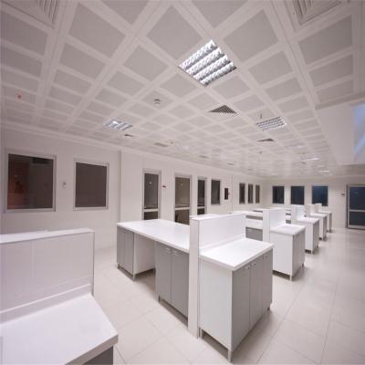 China 0.7mm Aluminum Metal Ceiling Perforated Suspended Clip In for sale