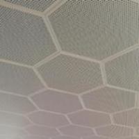 China Customizable Color Hexagonal Clip In Ceiling 404mm For Metro Station for sale