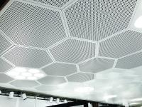 China Customizable Color Hexagonal Clip In Ceiling 404mm For Metro Station for sale