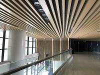 China fireproof Aluminum U Baffle Ceiling 300*15*3000mm For Shopping Mall for sale