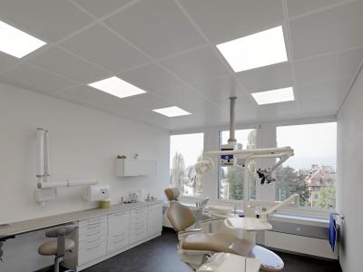 China 300x1200 Aluminum Metal Ceiling Ultra Micro Perforation Clip In Ceiling for sale