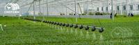 China Easy Installation Greenhouse Benches Modern Customized for Your Growing Needs for sale