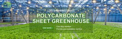 China Indoor/Outdoor Greenhouse Fittings Control Climate and Protect Plants Efficiently for sale