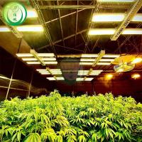 China LED Lighting System Light Deprivation Greenhouse for Automatic Pest Control Needs for sale