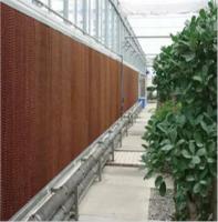 China Commercial Plastic Film Greenhouse Vegetable Farming With Ventilation System for sale
