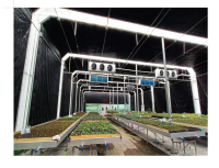 China Irrigation Light Deprivation Greenhouse with Complete Blackout and Automatic System for sale