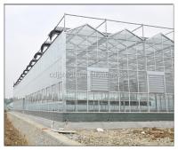 China Venlo Type Glass Greenhouse With Aquaponics Ventilation System for sale