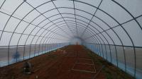 China Easy Installation Greenhouse Benches Modern Customized for Your Growing Needs for sale