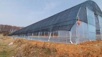 China Easy Installation Greenhouse Benches Modern Customized for Your Growing Needs for sale