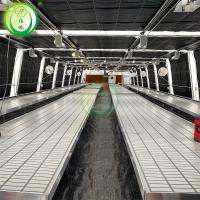 China ZHUOYUE 1.2mm Metal Greenhouse Benches And Shelves OEM ODM for sale