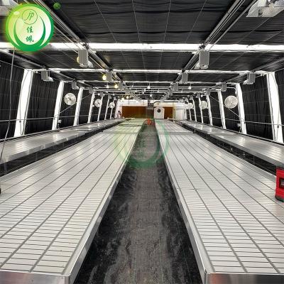 China ZHUOYUE 1.2mm Metal Greenhouse Benches And Shelves OEM ODM for sale