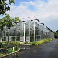 China 200kgs Weight Capacity Greenhouse Benches with Customized Height and Width for sale