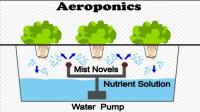 China Medium Hydroponic System with Fluorescent Lighting and Automatic Ventilation for sale