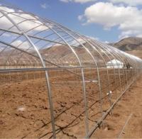 China Shading Rate 20%-90% Plastic Sheeting Greenhouse For Strawberries for sale