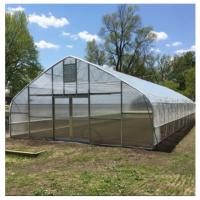 China Rainfall 150mm/H Tunnel Greenhouse With Mechanical Ventilation Optional Cooling System for sale